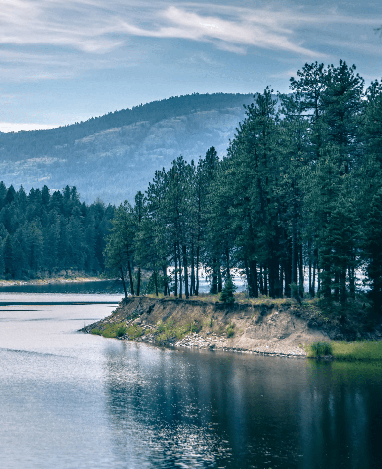 What’s New With Microsoft in Autumn 2020 - Solution Design Group